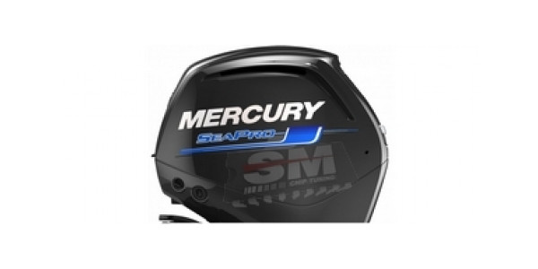 SM Chip Tuning • Ships • Mercury Marine • petrol • 4 cyl. • 10-efi-4 ...